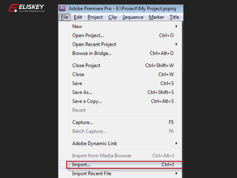 Hướng dẫn cách import video vào Adobe Premiere mới nhất - Eliskey